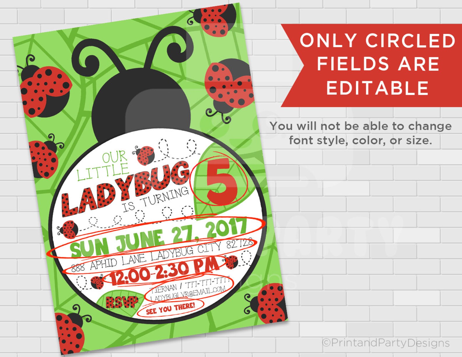 Printable Girls's Ladybug Birthday Party Invitations - Etsy