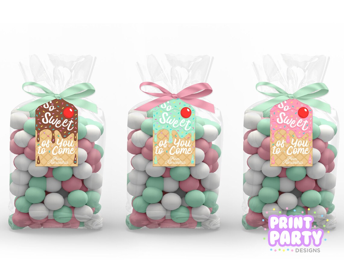 Printable Ice Cream Birthday Party Favor Gift Tags, Ice Cream Treat Bag ...