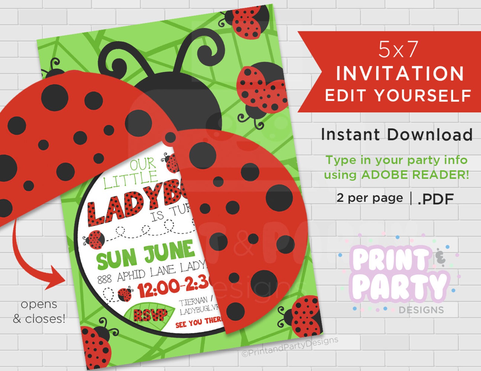 Printable Girls's Ladybug Birthday Party Invitations - Etsy