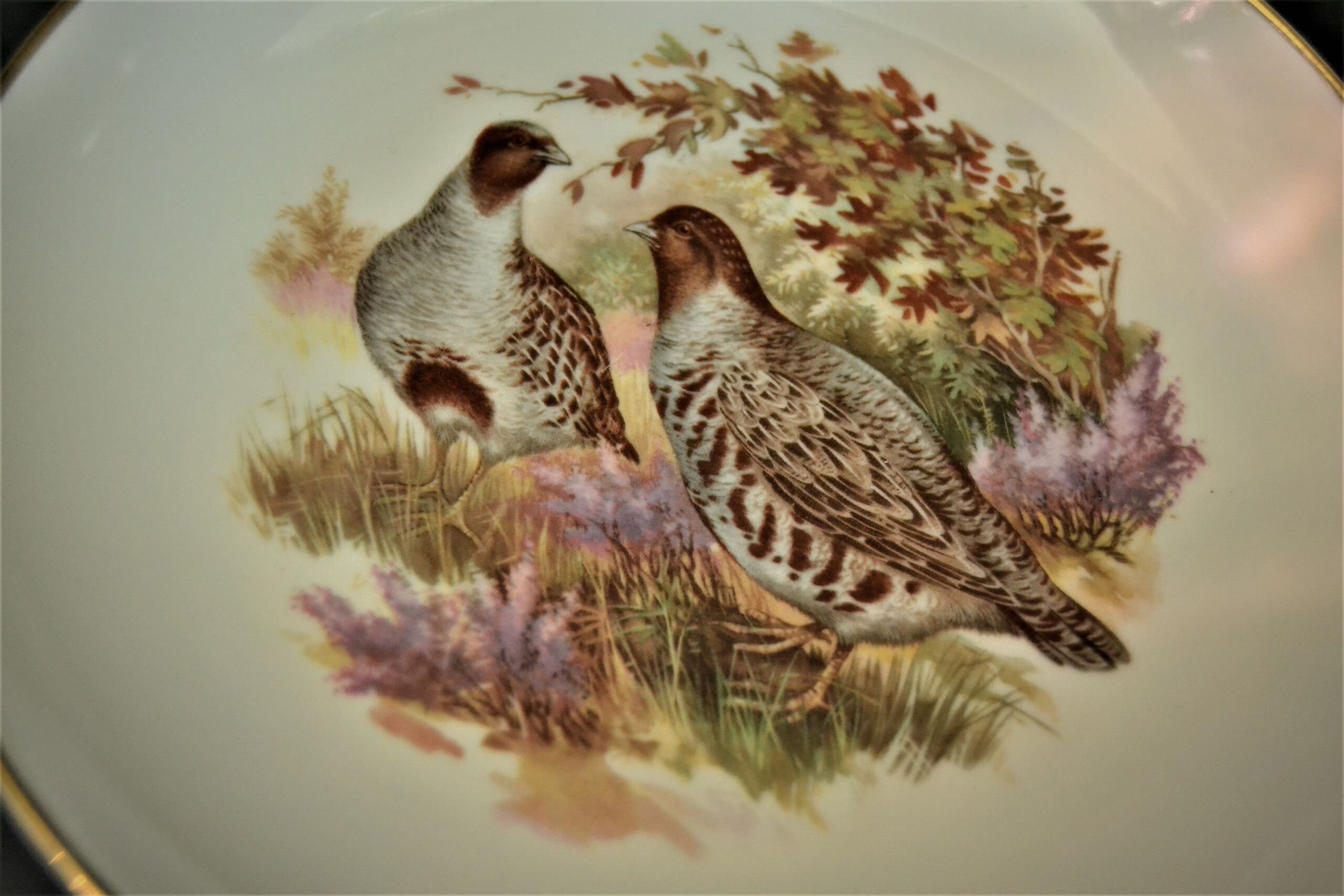 Game Bird Plates with Matching Cups from Naaman Israel | Etsy