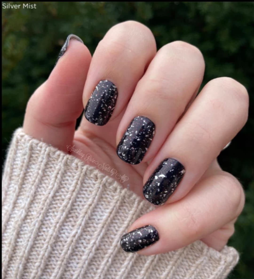 Color Street: Silver Mist, Exclusive - Etsy