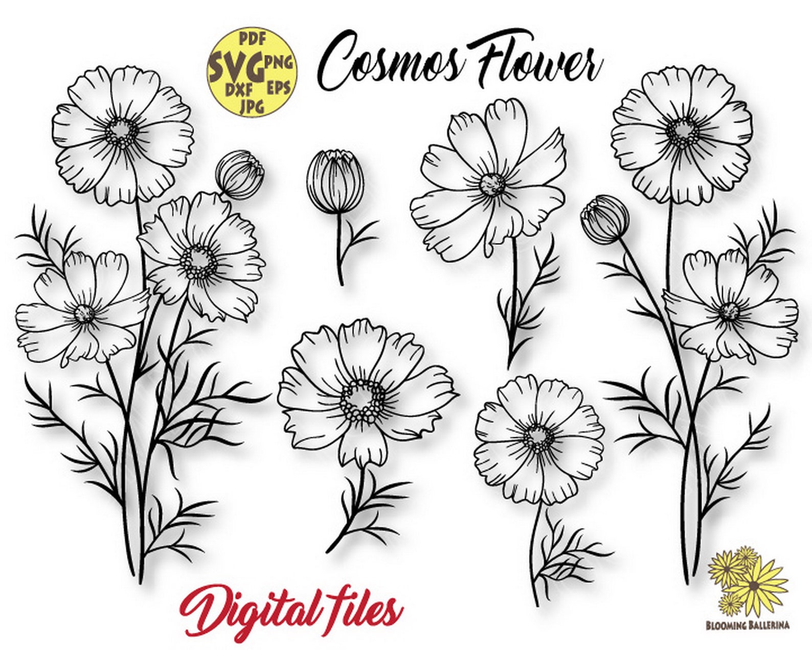Cosmos Flower Wedding Svg File October Birth Month Flower - Etsy
