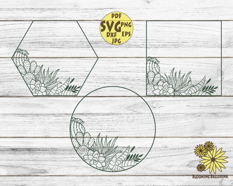 Cactus Frames Svg, Suculent Frame Svg, Bundle Cactus Svg, Monogram ...