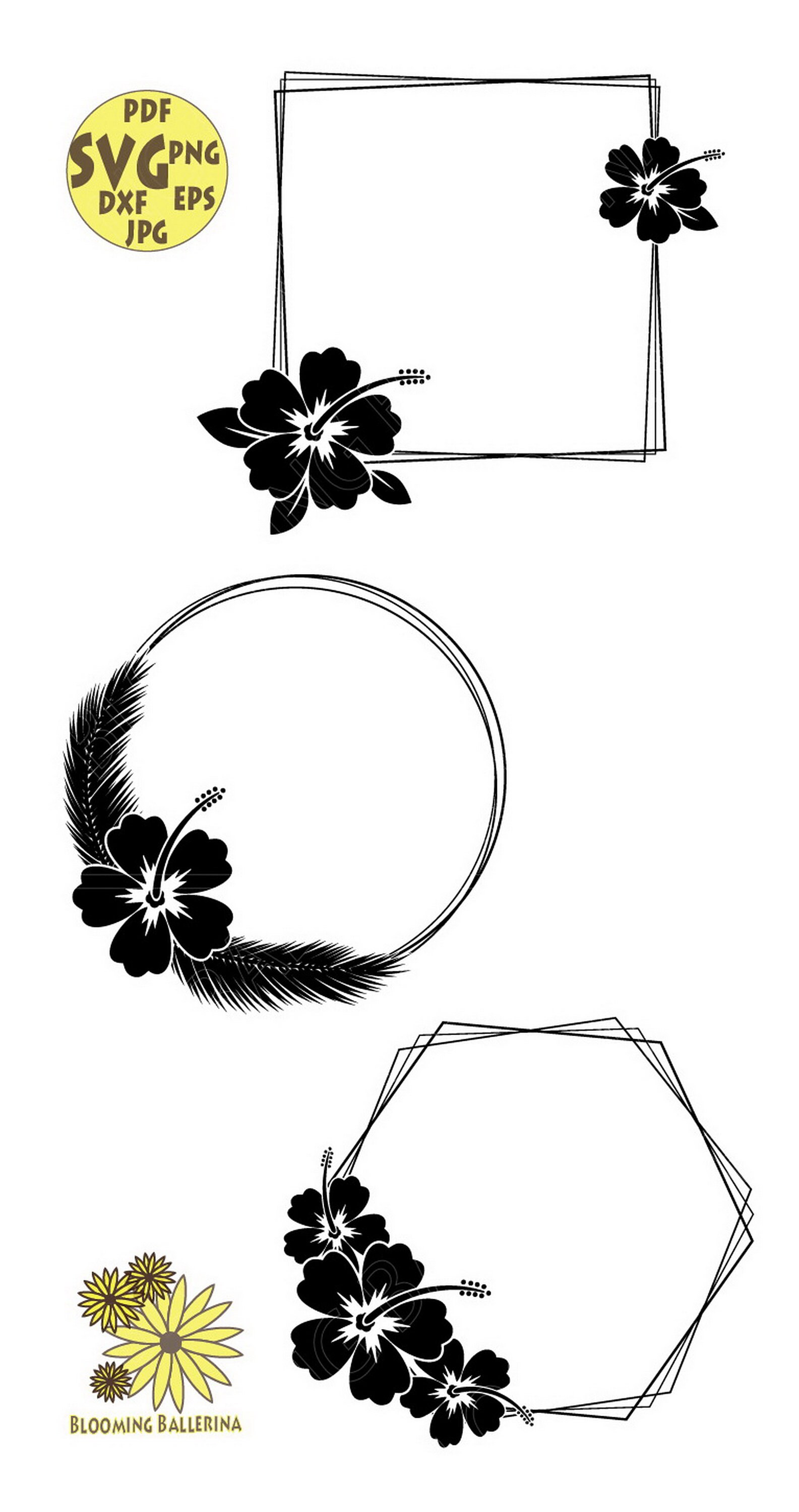 Hibiscus Svg Tropical Svg Geometrical Frames Svg Frame Svg - Etsy UK
