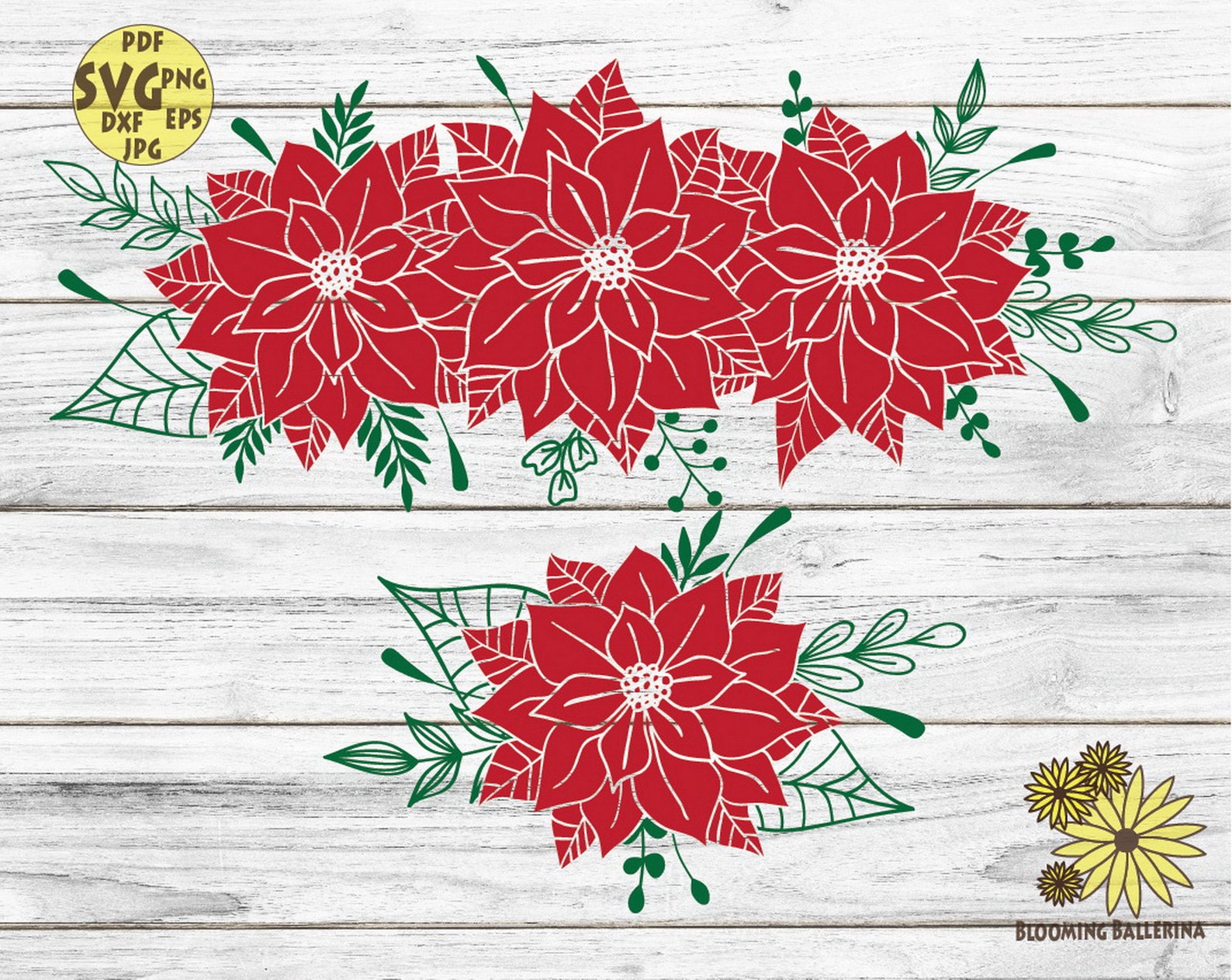 Floral Svg, Poinsettia Svg, Flower Svg Bundle, Frame Svg, Winter Svg ...