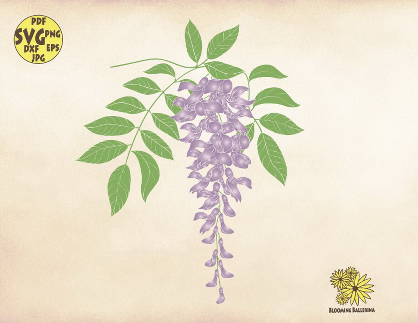 Wisteria Svg Bundle Wisteria Branches Svg Wisteria Png - Etsy