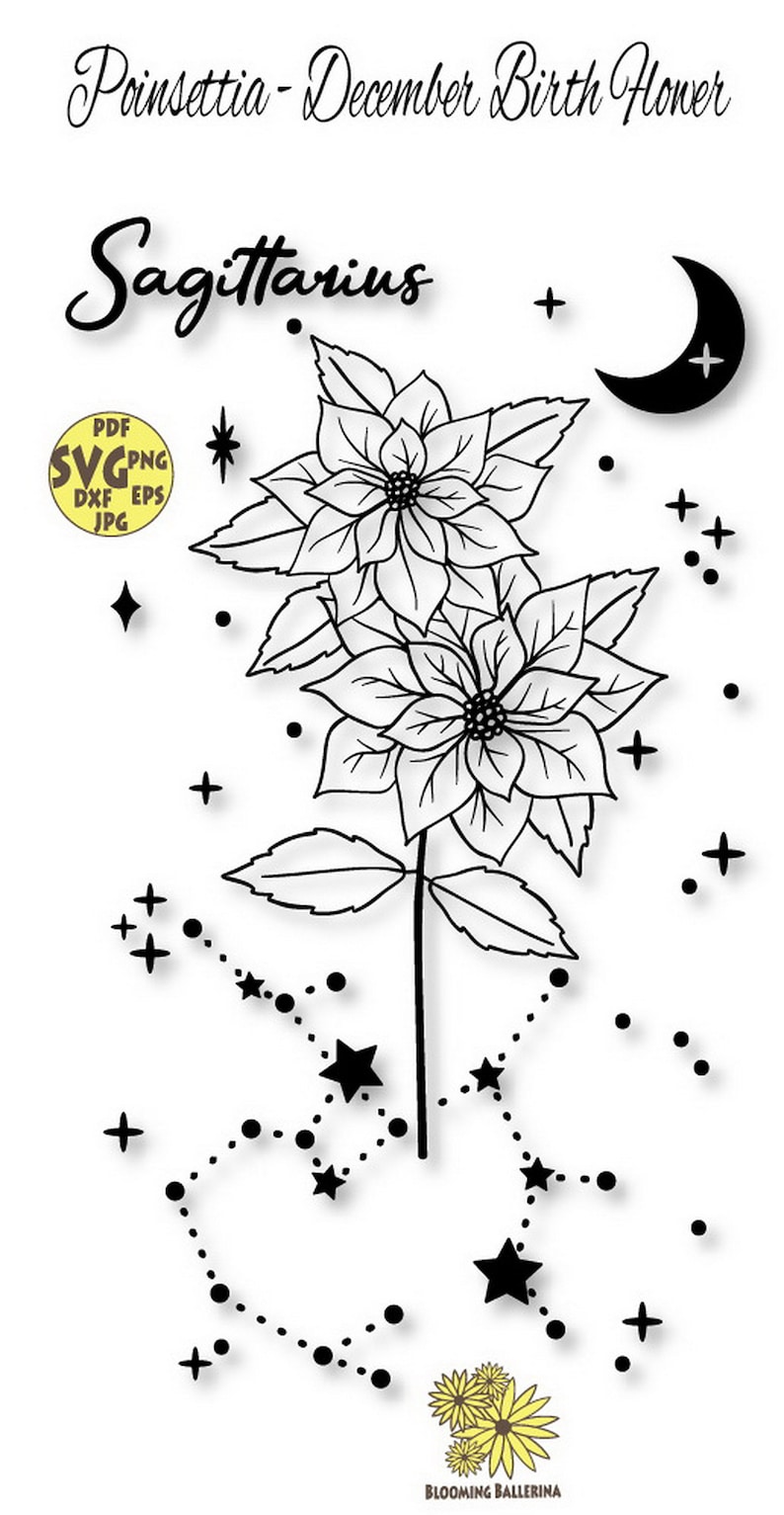 Poinsettia December Birth Flower Svg December Birth Card - Etsy