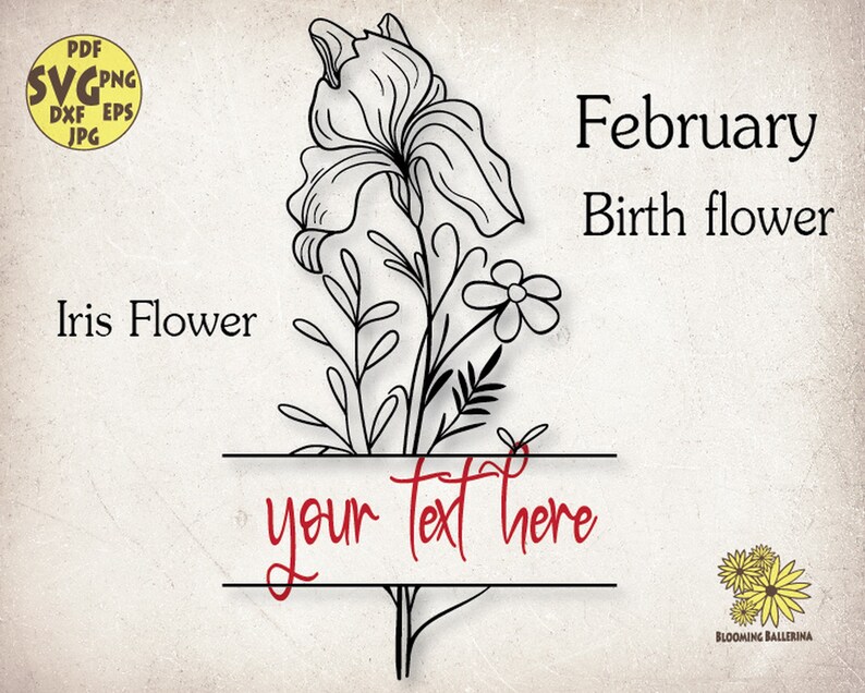 Monogram Iris Flower Bouquet Svg February Birth Flower Svg - Etsy