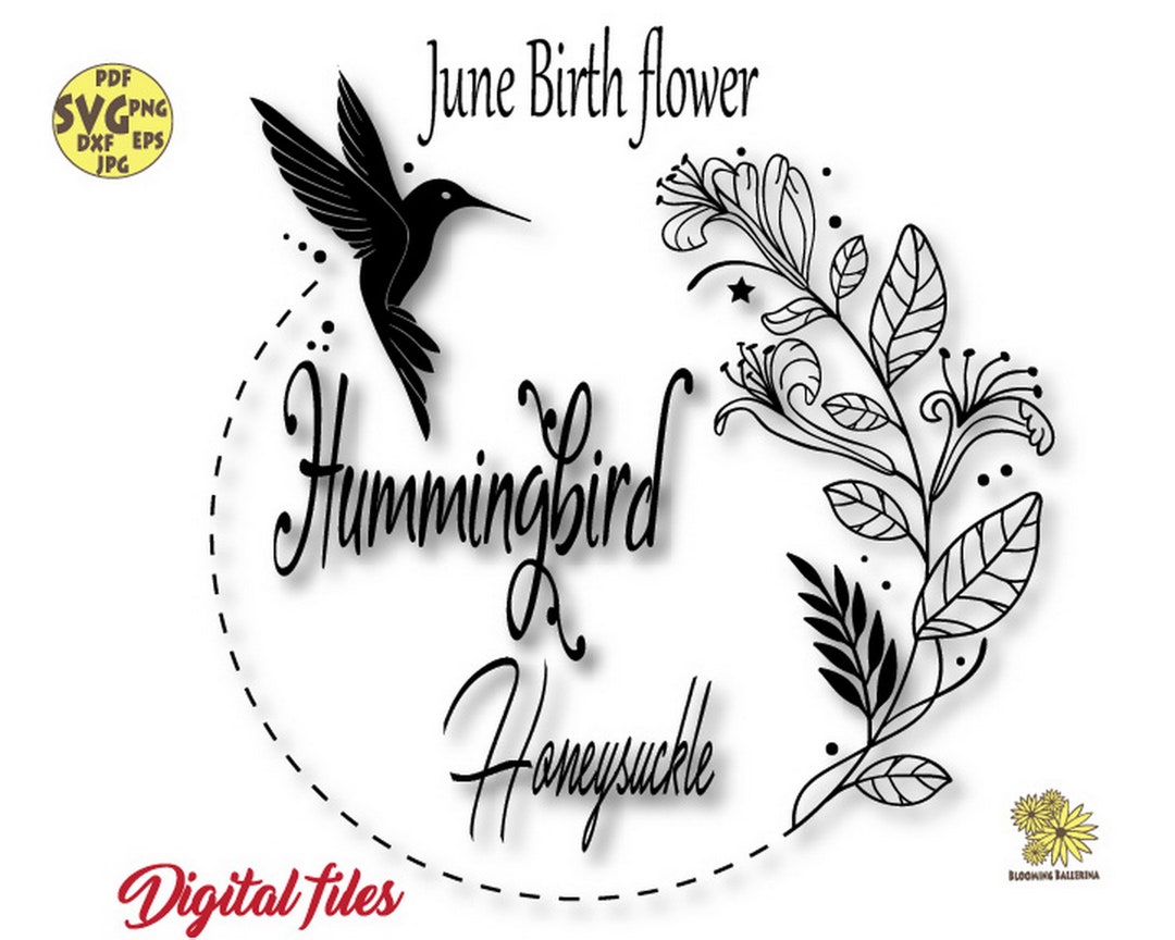 Hummingbird Svg, Honeysuckle Svg, June Birthday Svg, Gemini Svg, Birth ...