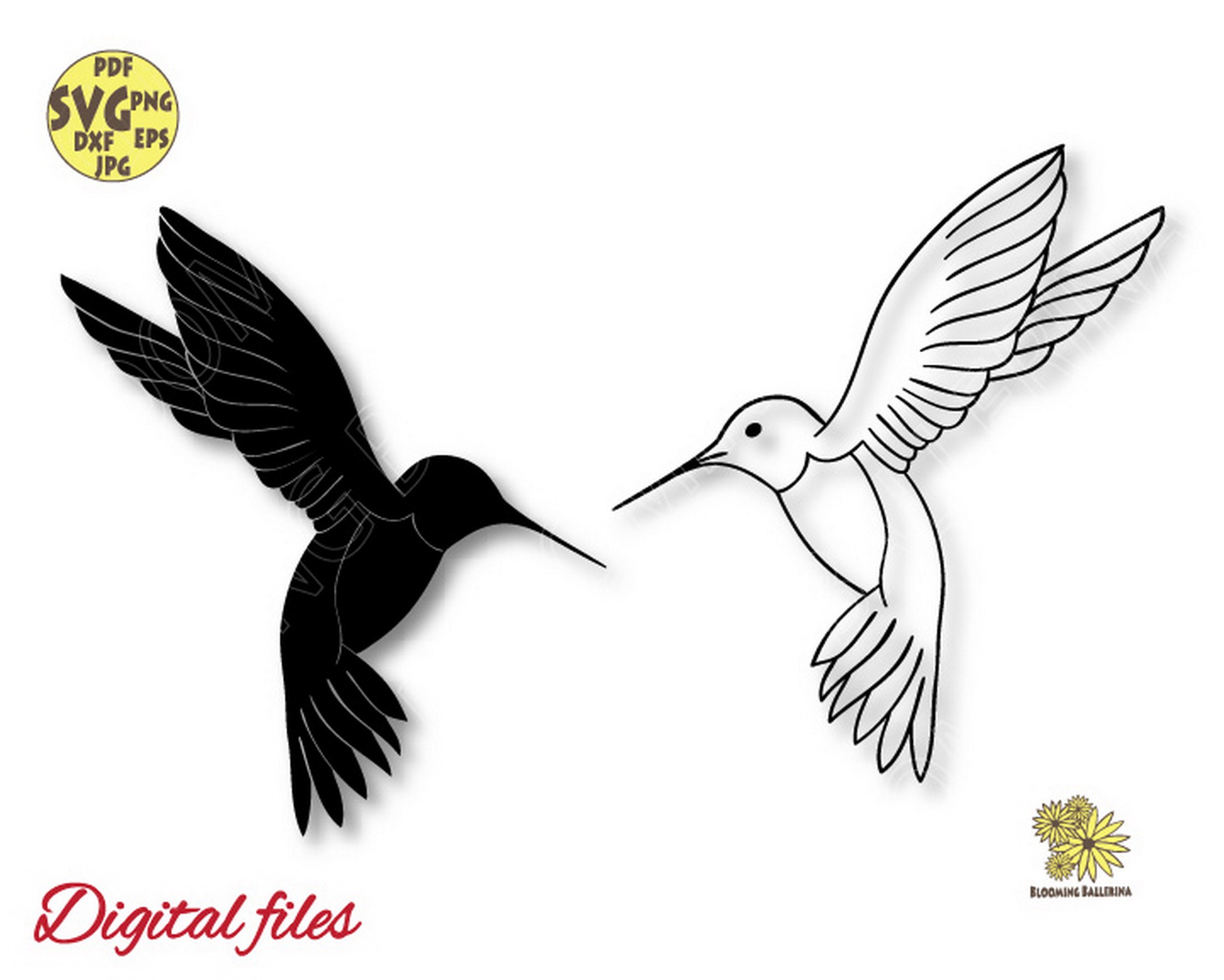 Hummingbird Svg Hummingbirds Svg Hummingbird Silhouette - Etsy