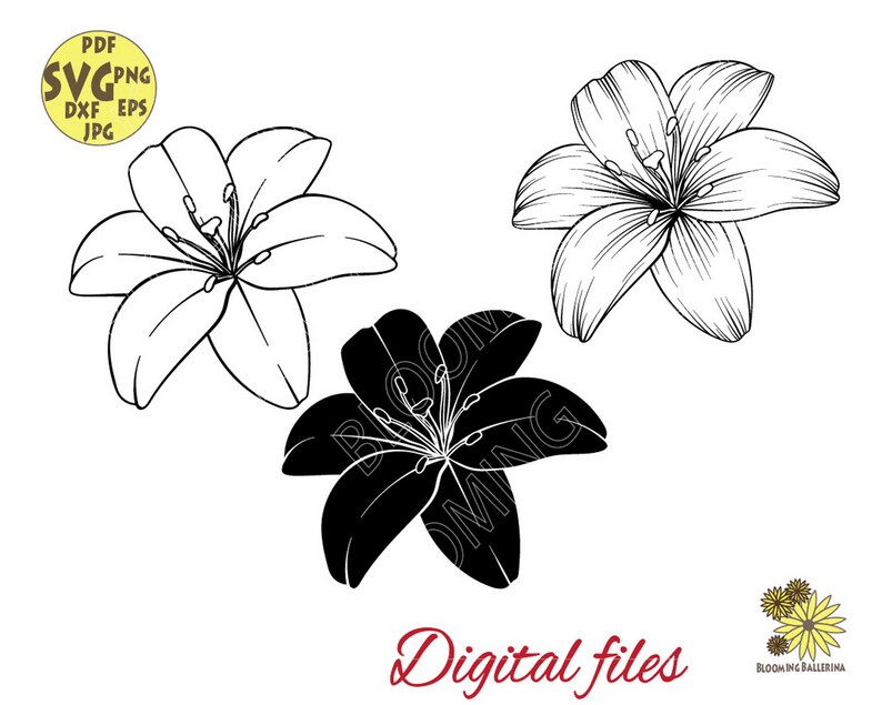 Lily Flower Svg File Lilies Bundle Svg Lily Digital File | Etsy