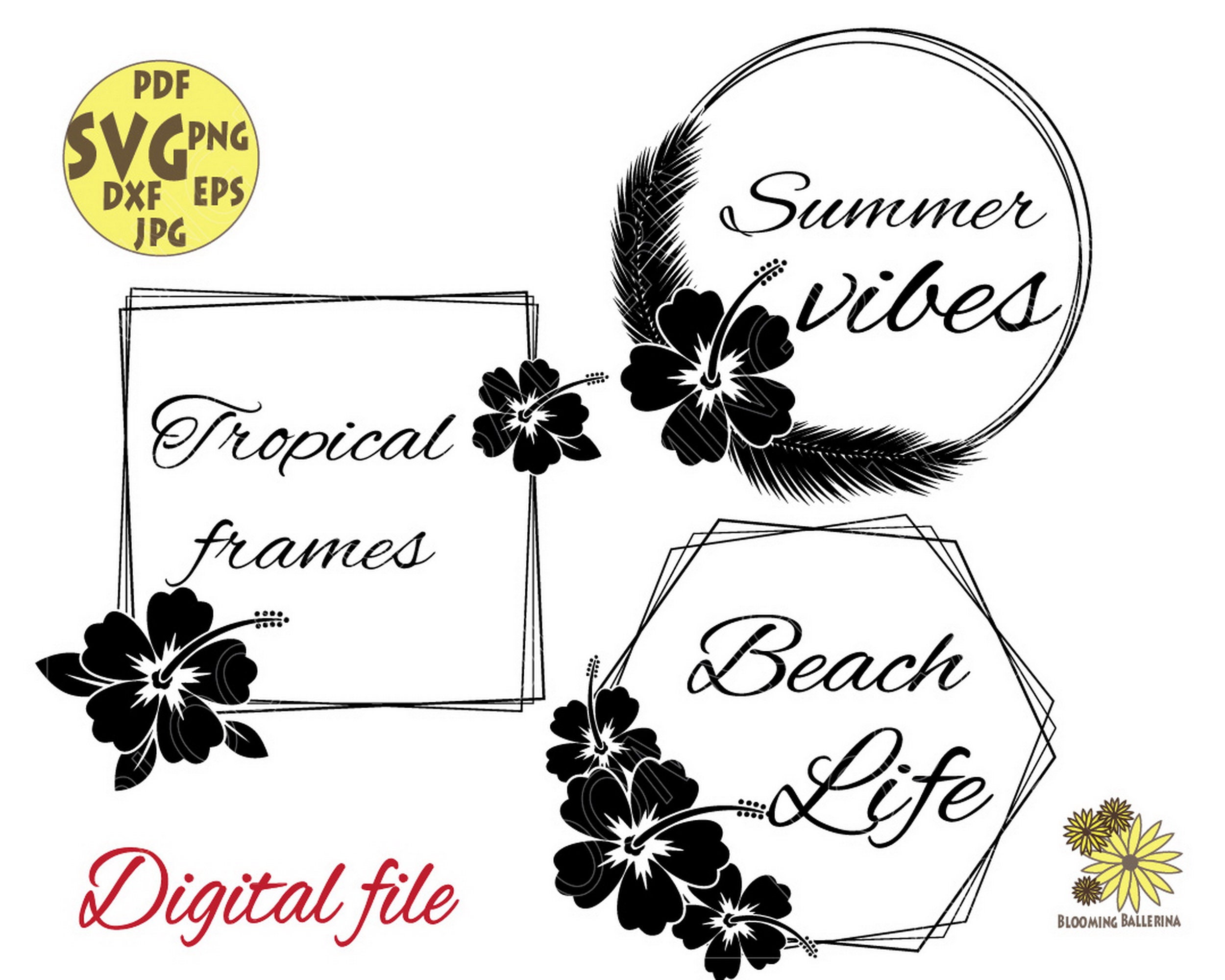 Hibiscus Svg Tropical Svg Geometrical Frames Svg Frame Svg | Etsy