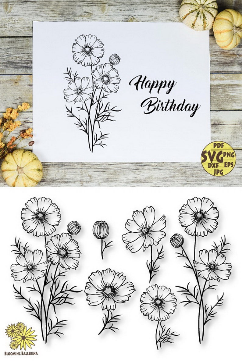 Cosmos Flower Wedding Svg File October Birth Month Flower - Etsy
