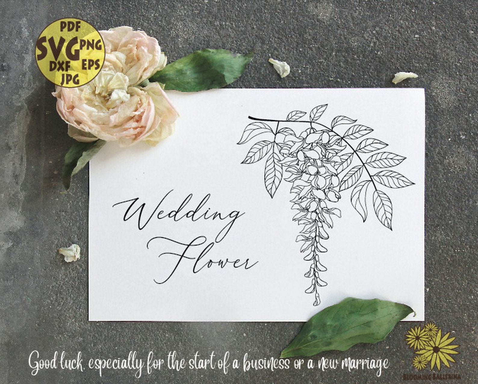 Wisteria Svg Wisteria Flower Svg Wisteria Png Wisteria - Etsy