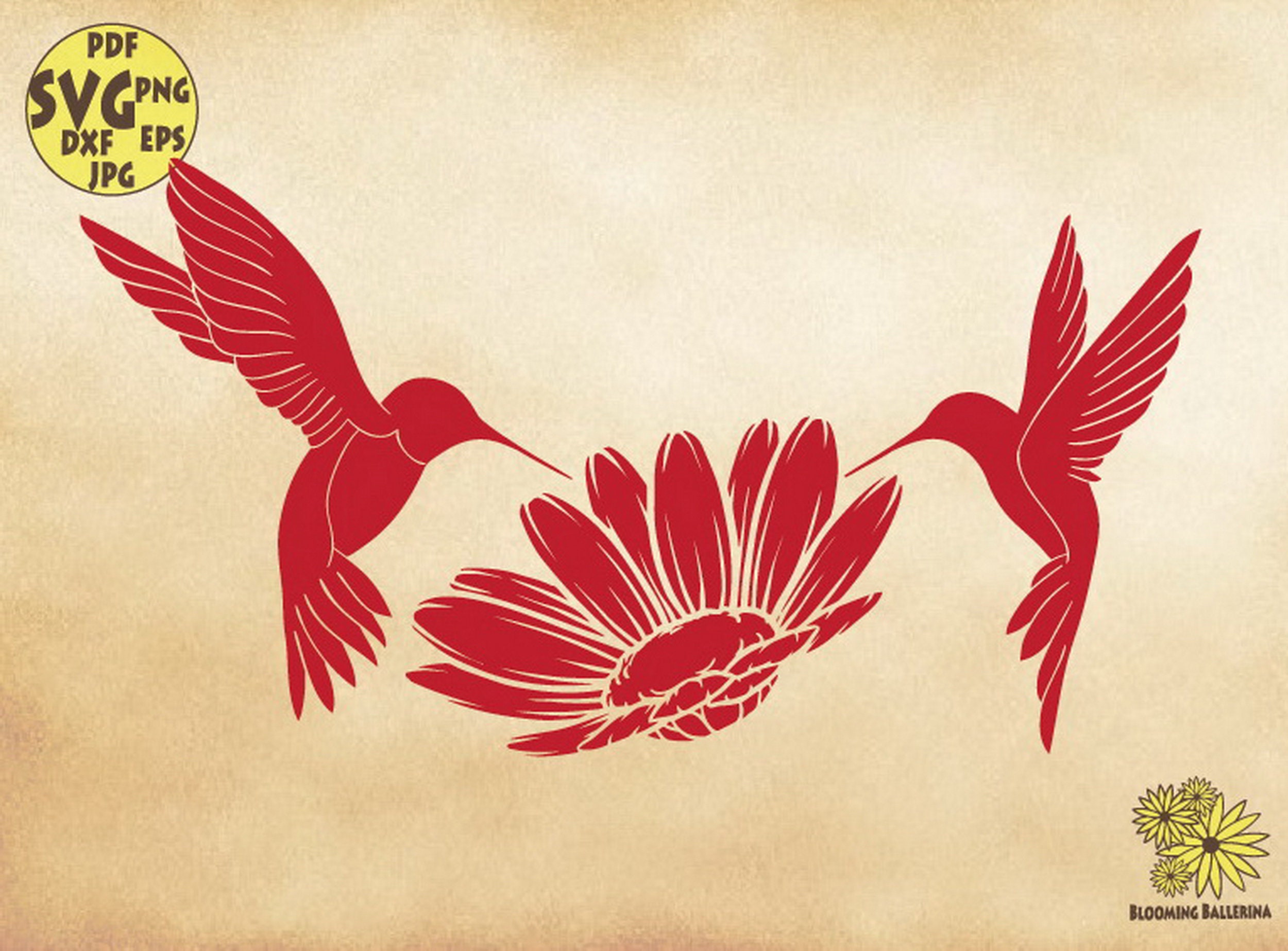 Colibríes Svg Colibrí Svg Daisy Svg Escena de colibríes - Etsy España