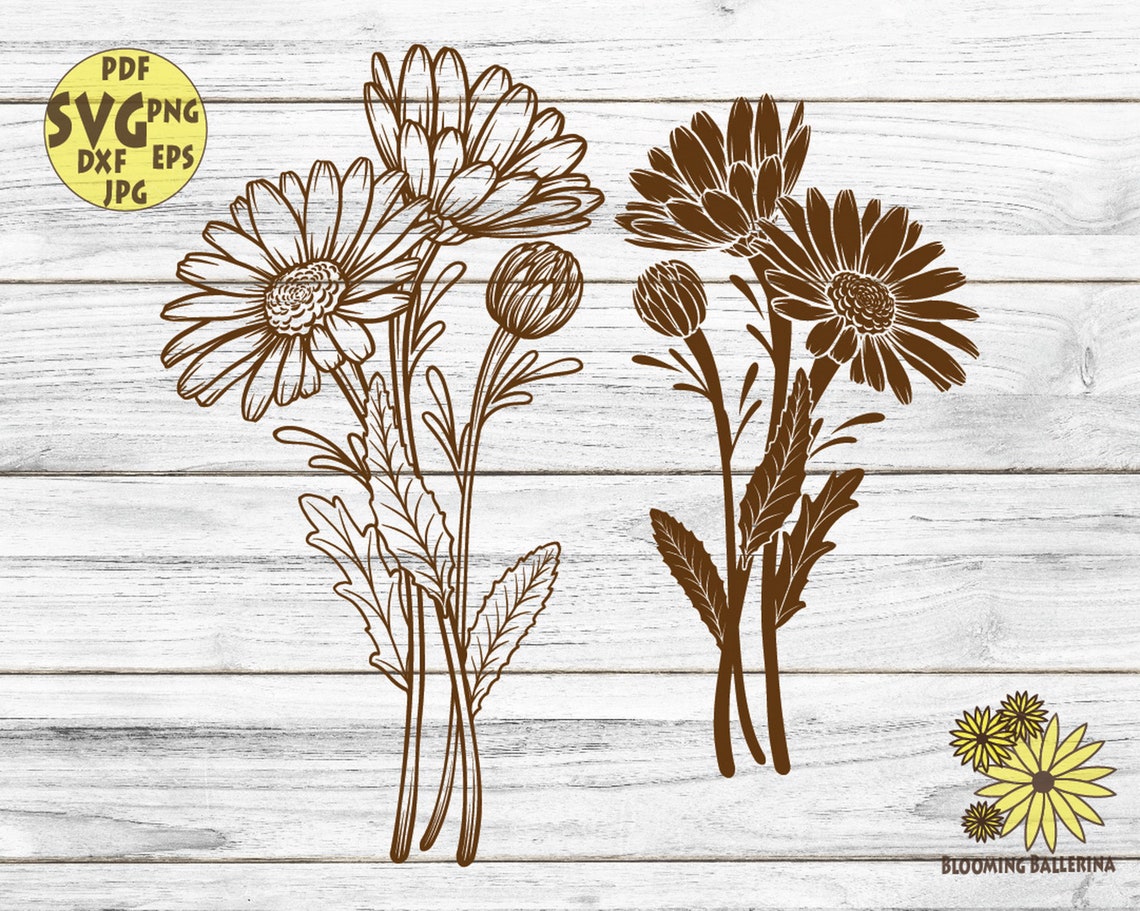 Daisy flower bouquet svg Wild Flowers Svg Daisy Svg Plant | Etsy