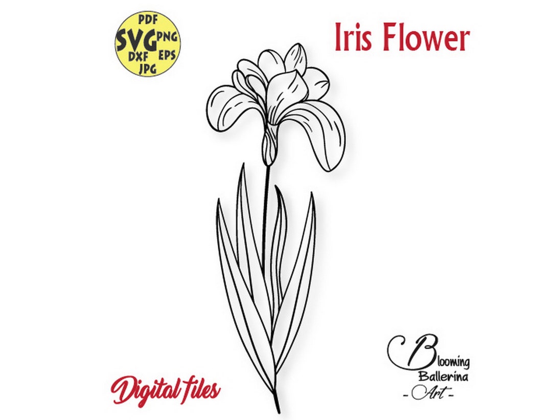 Iris Svg, Simple Flower Svg, Minimalist Svg, Iris Flower Cut File, Iris ...