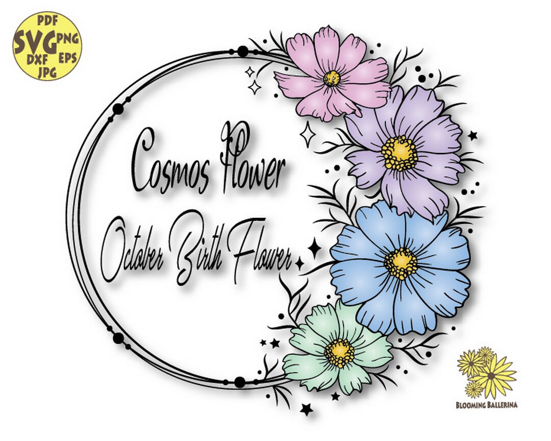 Cosmos Flower Svg, Cosmos Round Frame Svg, Cosmos Flower Frame Svg ...
