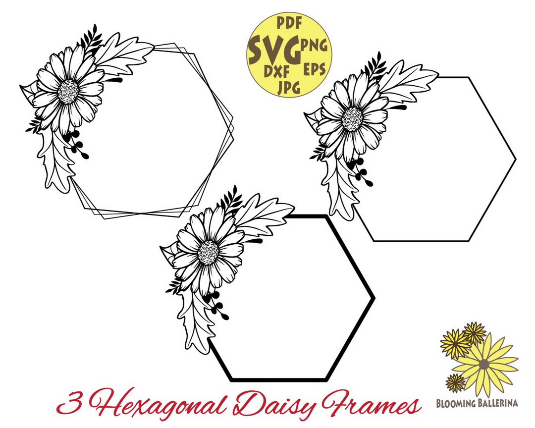 Bundle Floral Borders Svg, Daisy Svg, Hexagonal Floral Monogram Frame ...