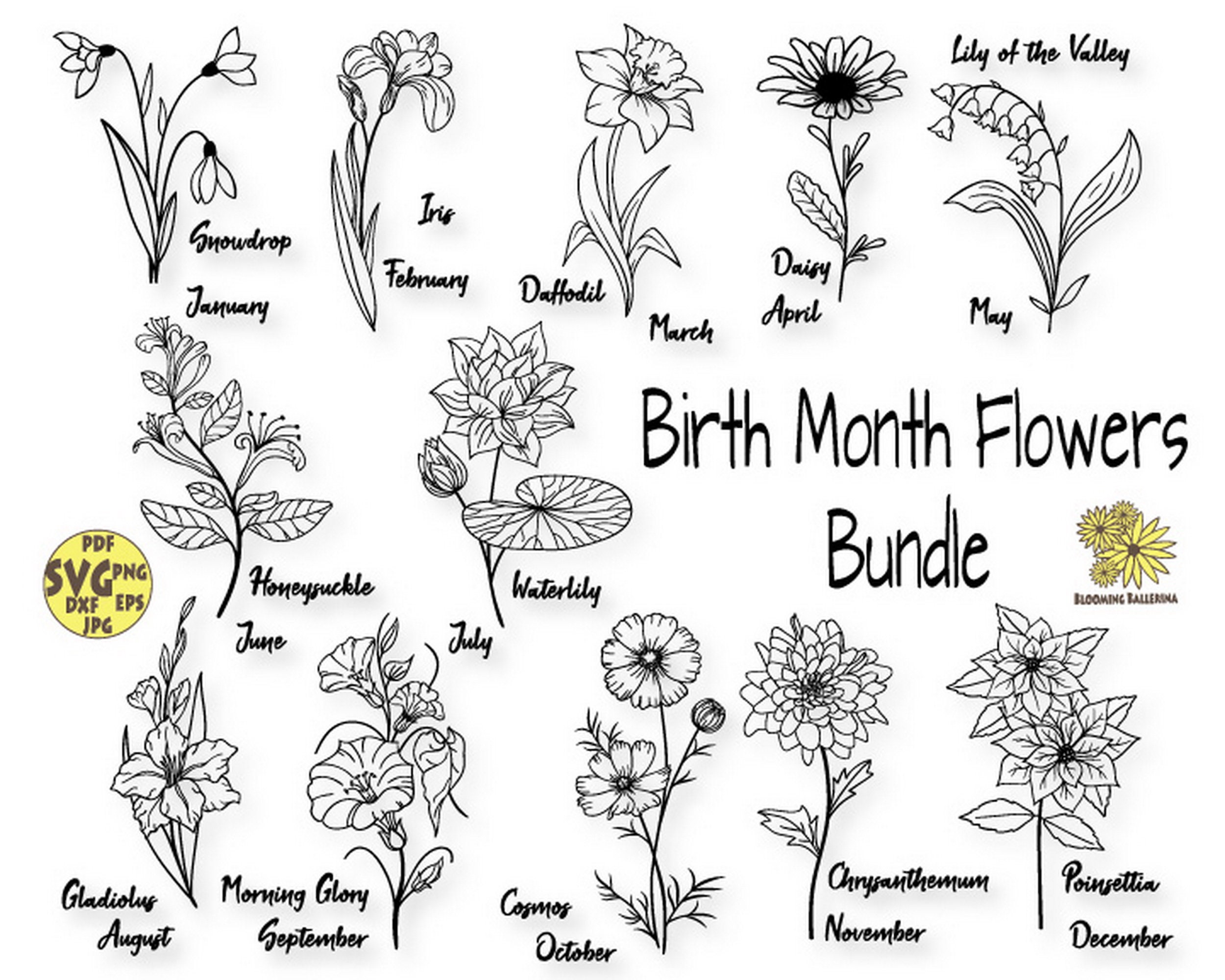 Birth Month Flowers Svg Bundle Birth Month Flower Flower Etsy Canada