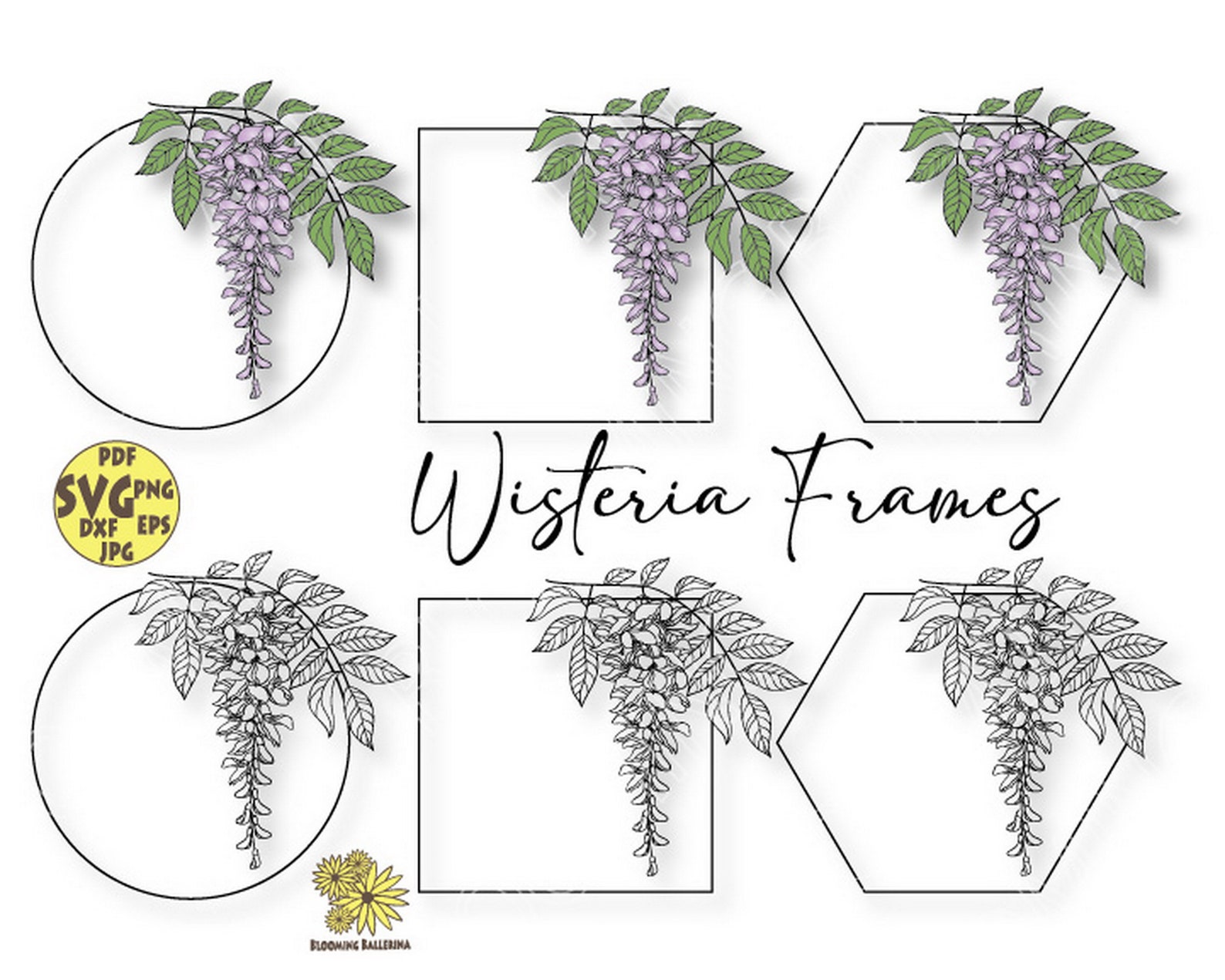 Wisteria Svg Wisteria Png Wisteria Frames Svg Floral Frames - Etsy