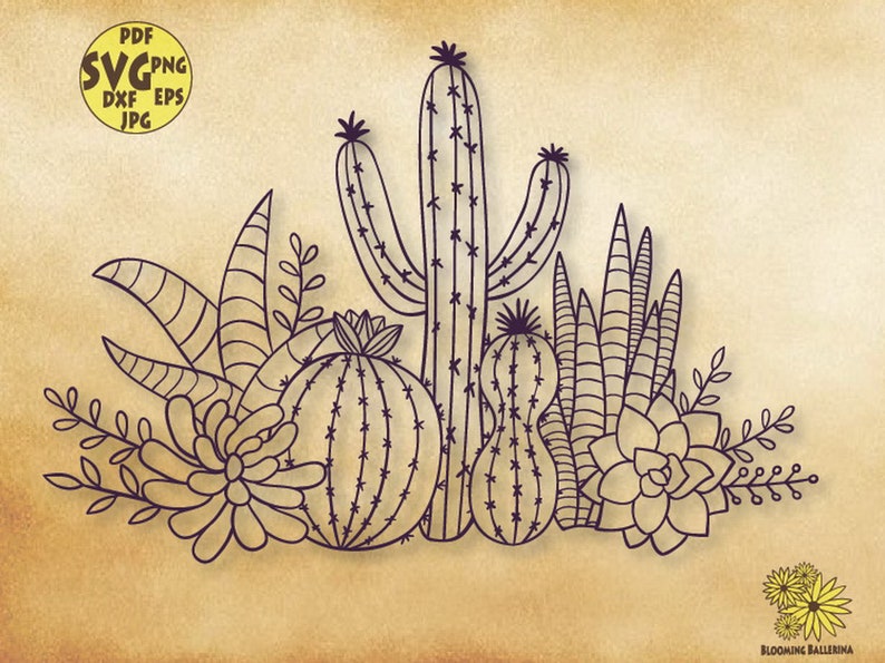 Cactus Svg Cactus Flower Svg Succulent Svg Cactus Png - Etsy