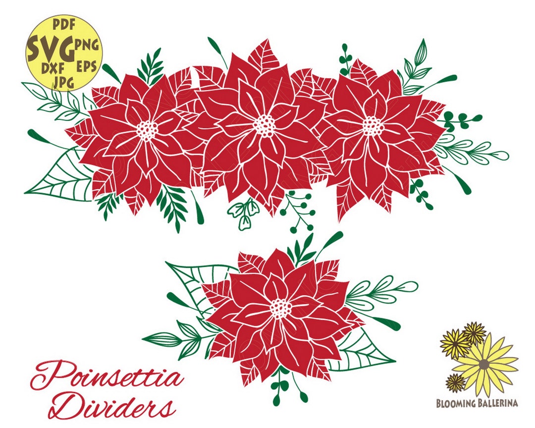 Floral Svg, Poinsettia Svg, Flower Svg Bundle, Frame Svg, Winter Svg ...