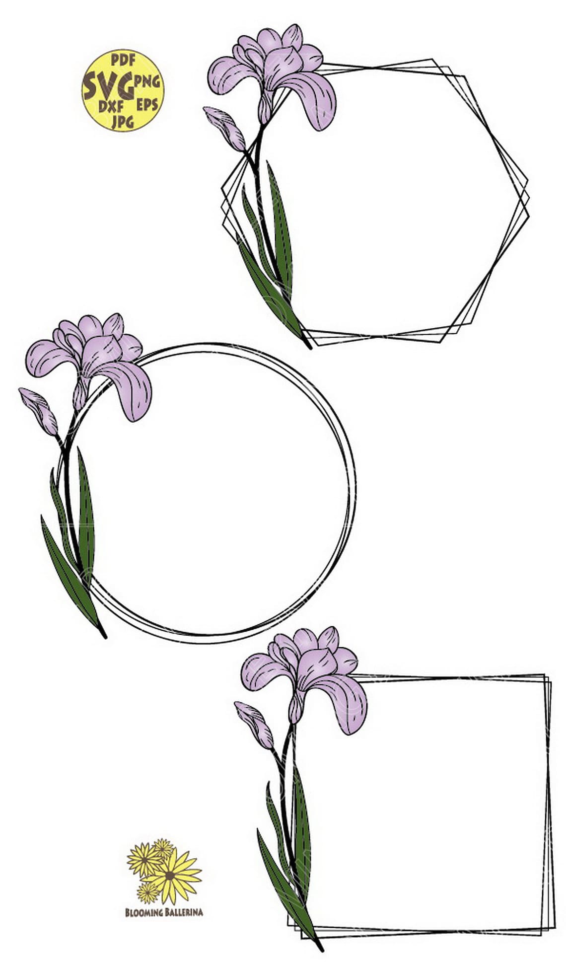 Iris Frames Bundle Svg File Iris Svg Iris Flower Svg | Etsy