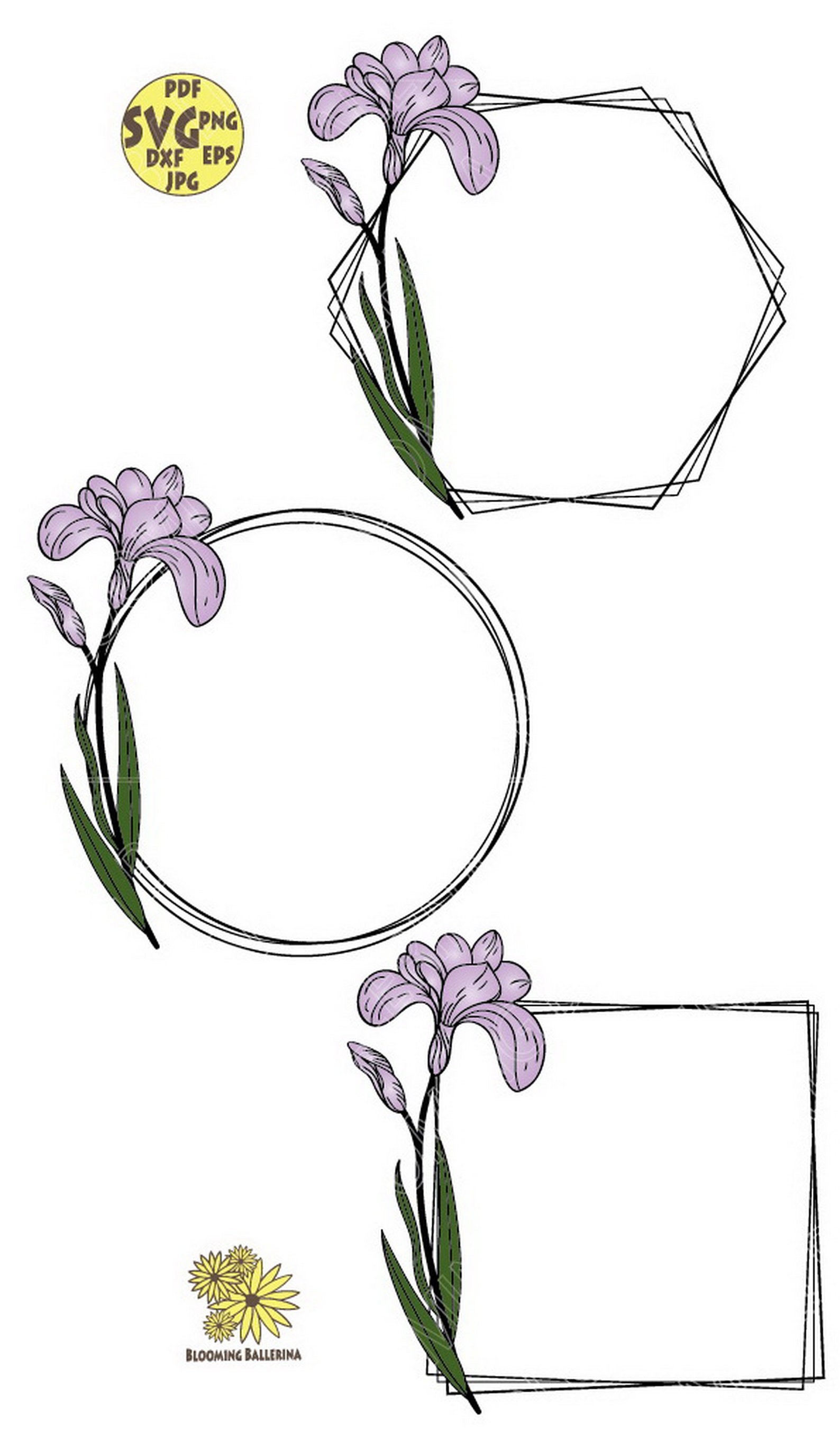 Iris Frames Bundle Svg File Iris Svg Iris Flower Svg - Etsy