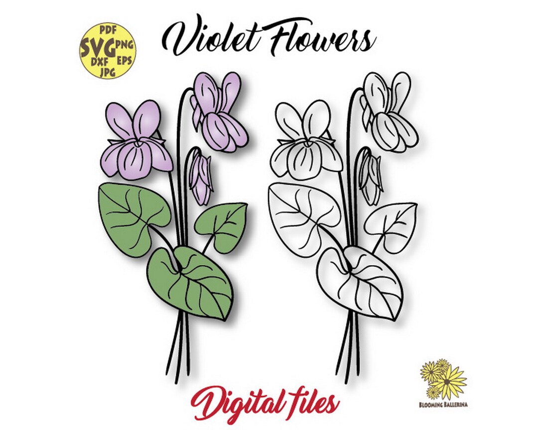 Violets Digital Files, Viola Flowers Svg, Pansy Png, Violets Png ...