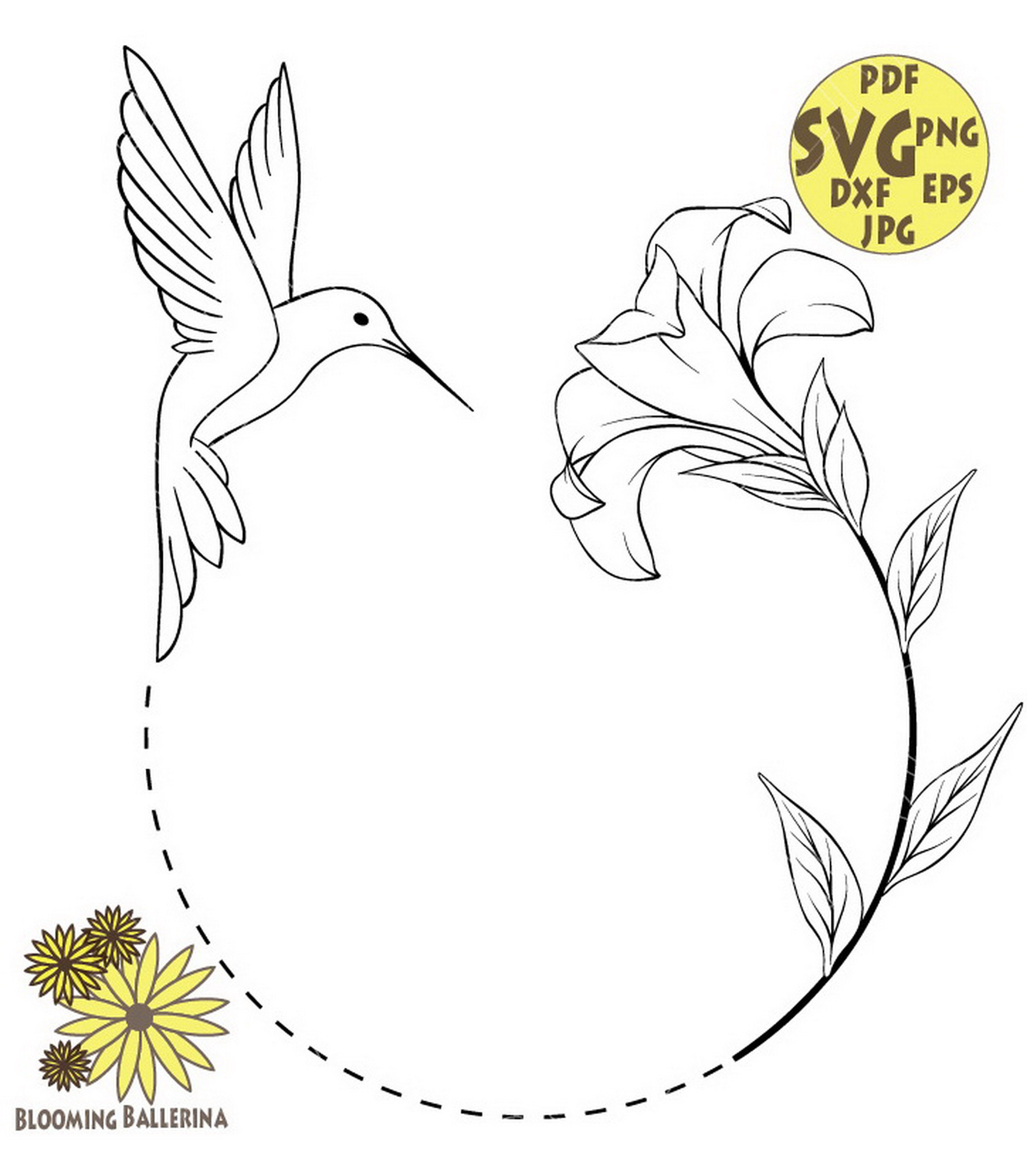 Botanical Circle Frames With Hummingbird Lily and Leaves Svg - Etsy