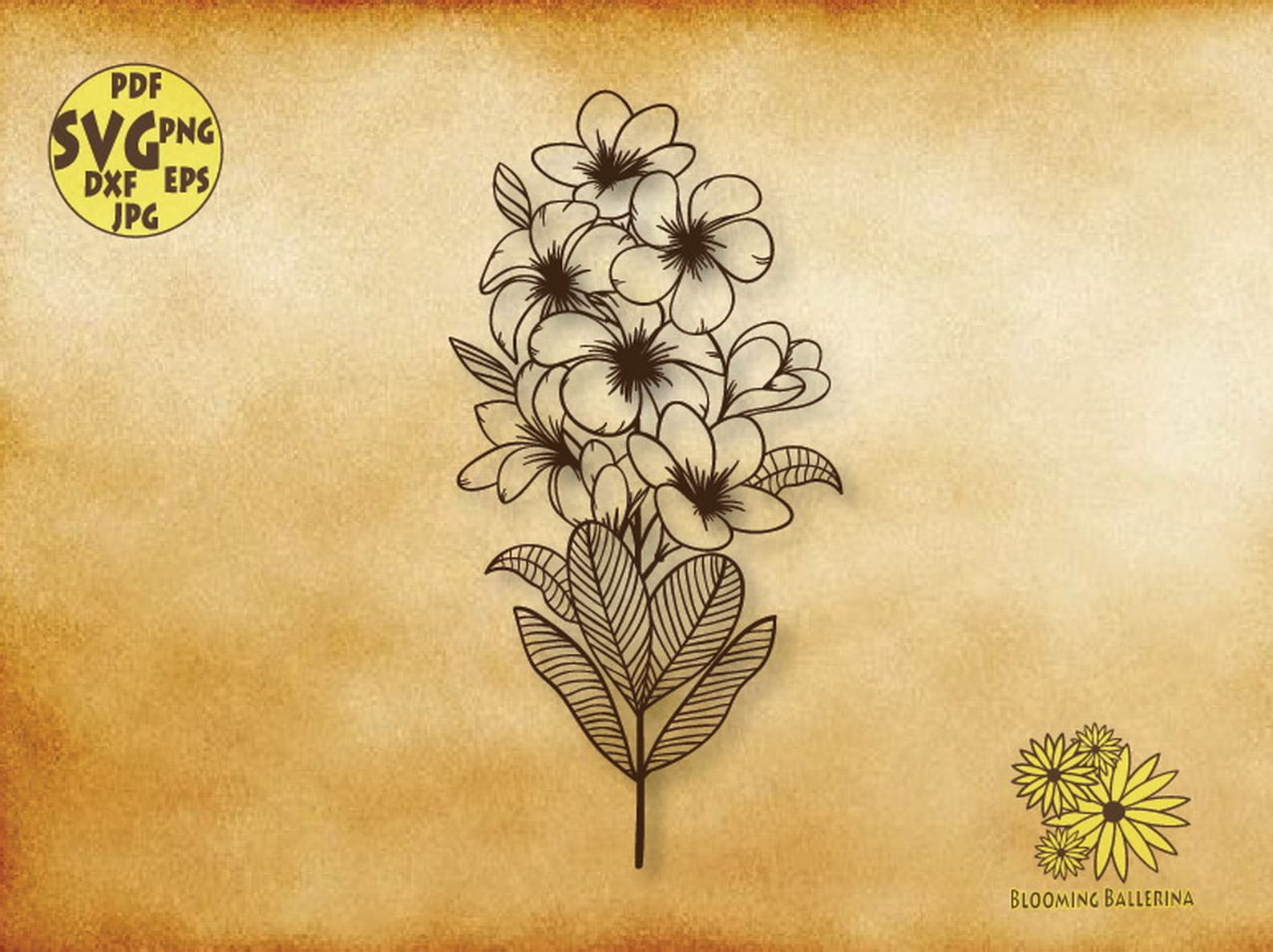 Plumeria Svg Plumeria Flower Svg Flower Bouquet Svg - Etsy