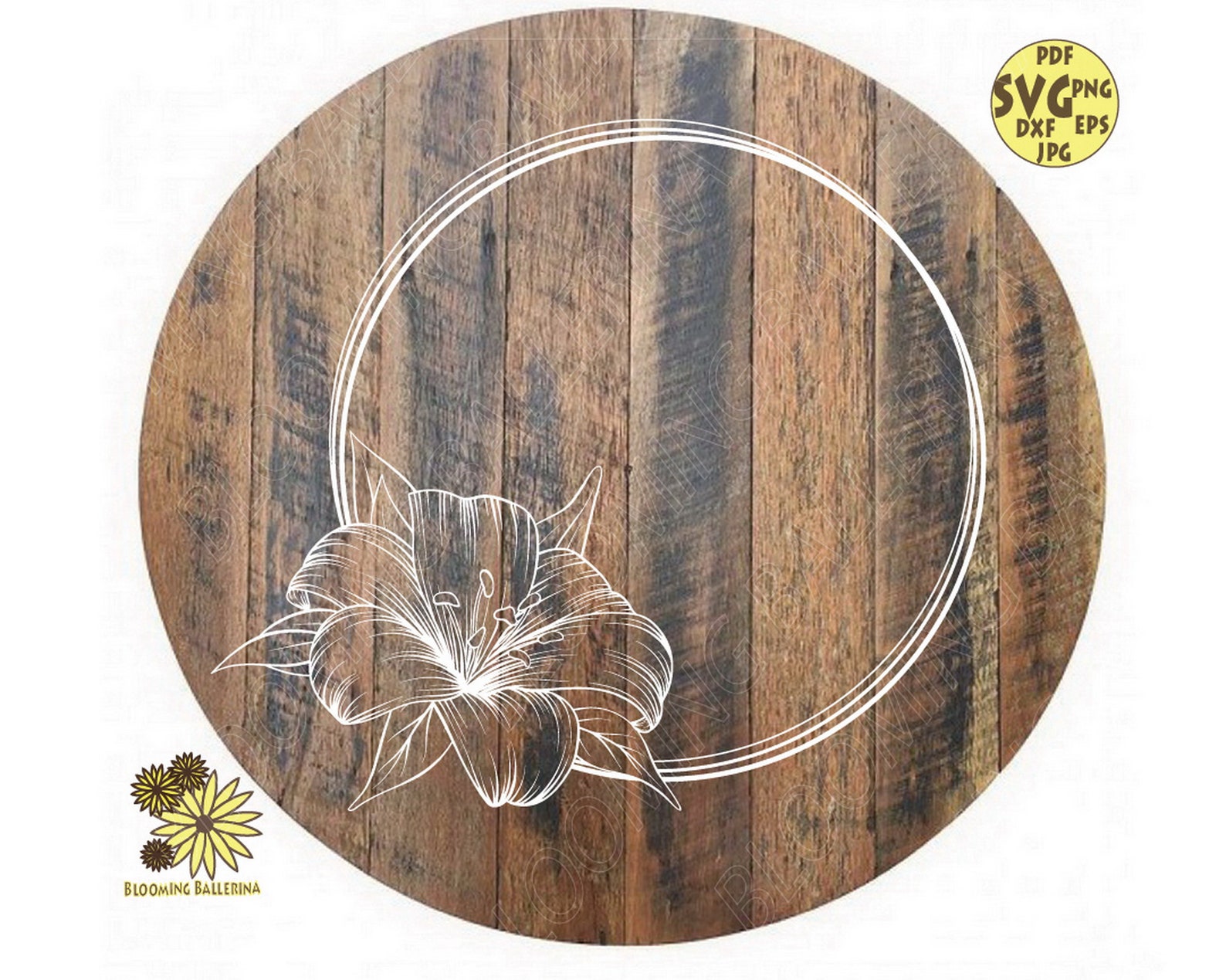 Lily Frames Svg 3 Hand Drawn Lily Frames Svg Round Lilies | Etsy