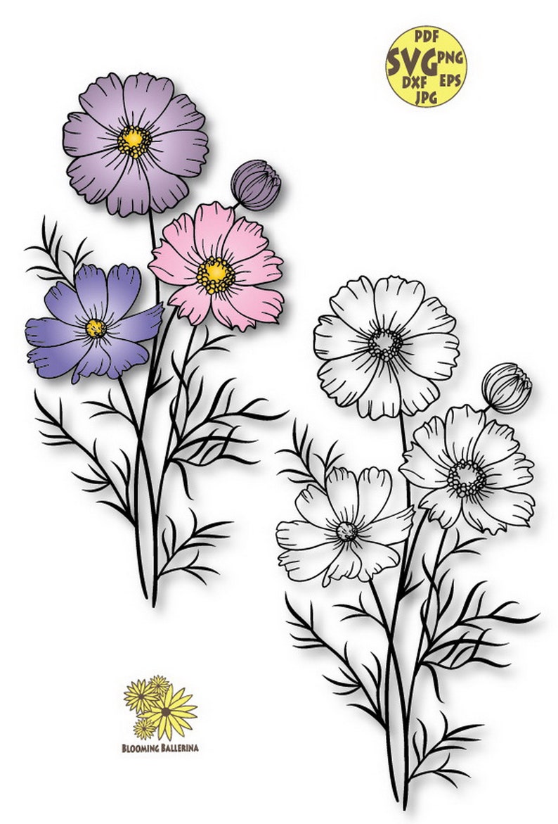 Cosmos Flower Bouquet Svg File October Birth Flower Svg - Etsy