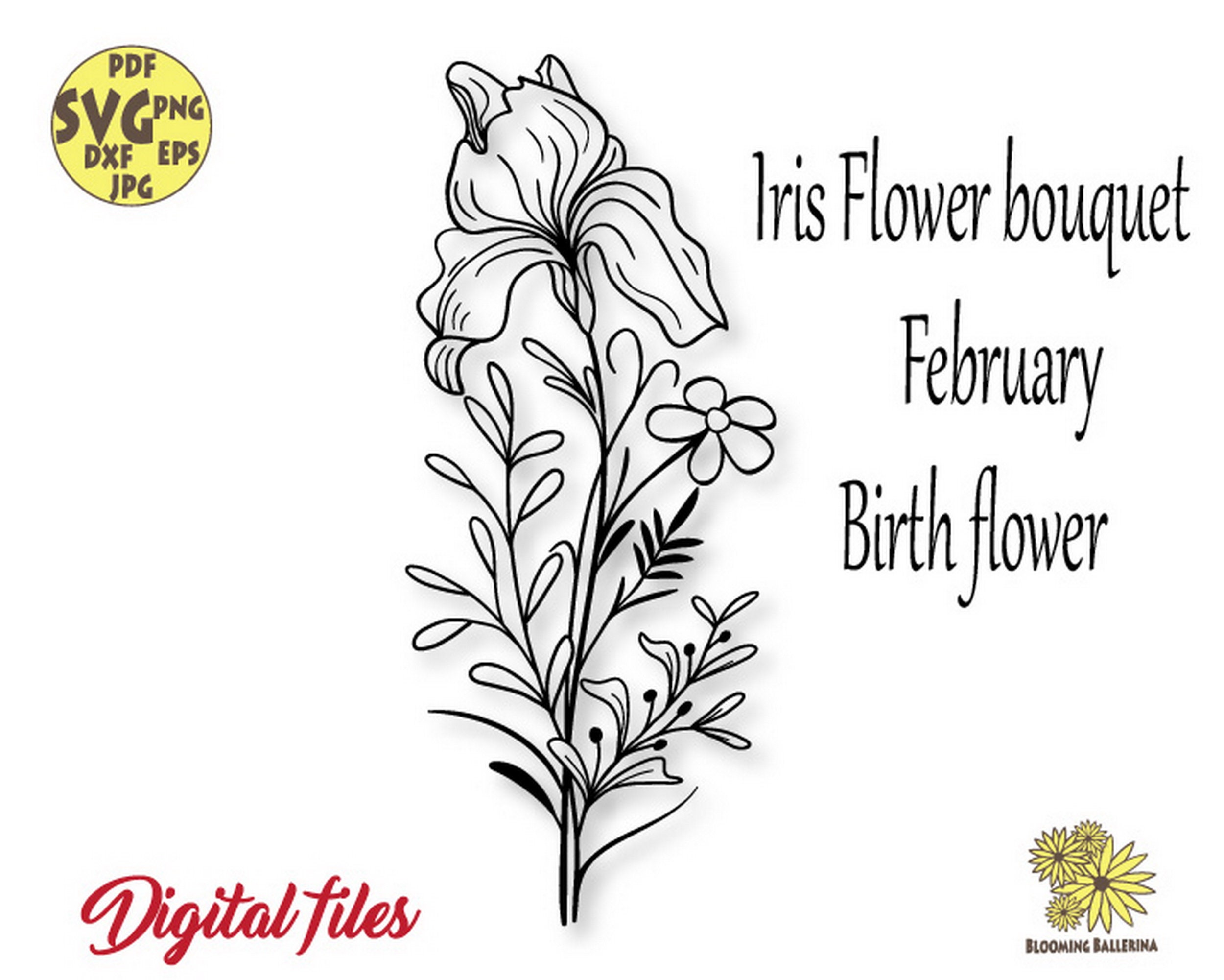 Iris Birth Flower Bouquet Svg File, February Birth Flower Svg, Aquarius ...