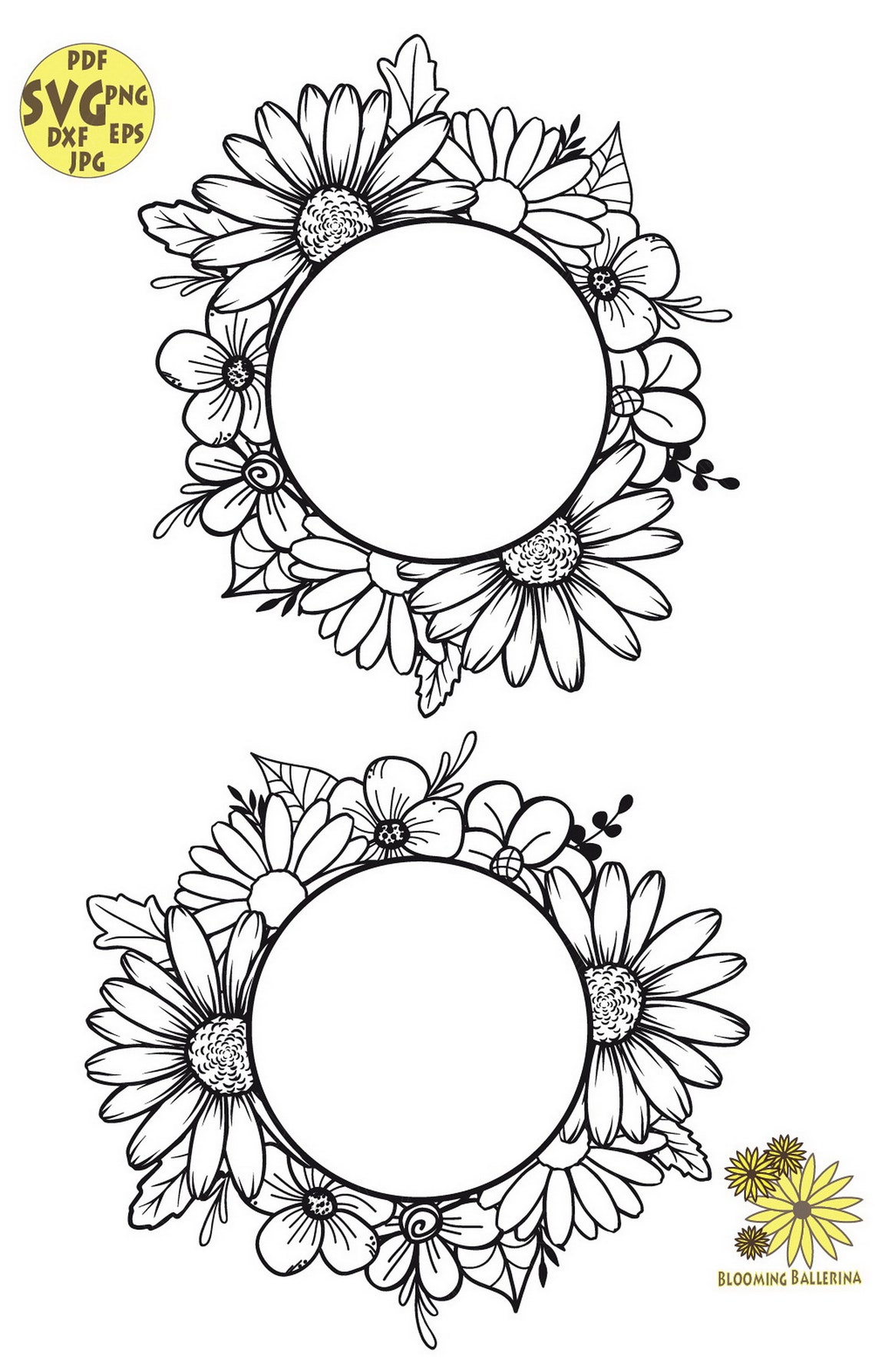 Floral Borders Svg Floral Svg Daisy Svg Monogram Frame Svg | Etsy