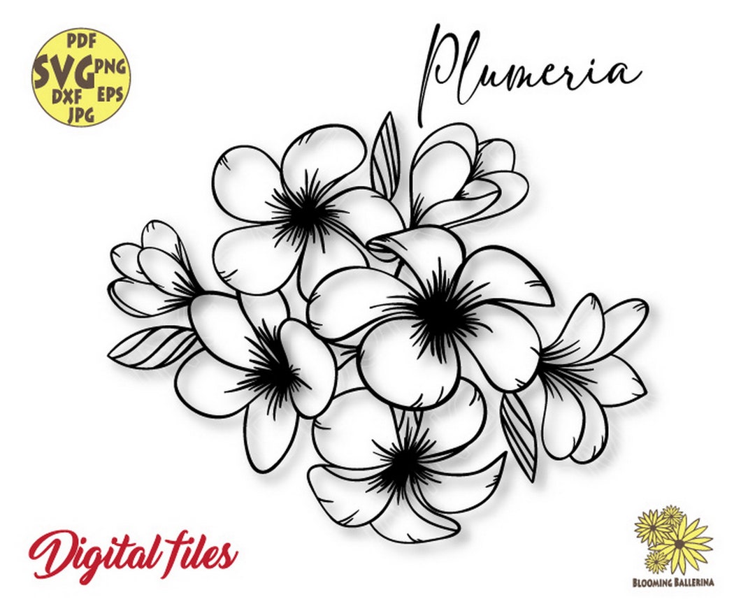 Plumeria Svg, Tropical Flower Svg, Hawaii Svg, Hawaiian Flower Svg ...
