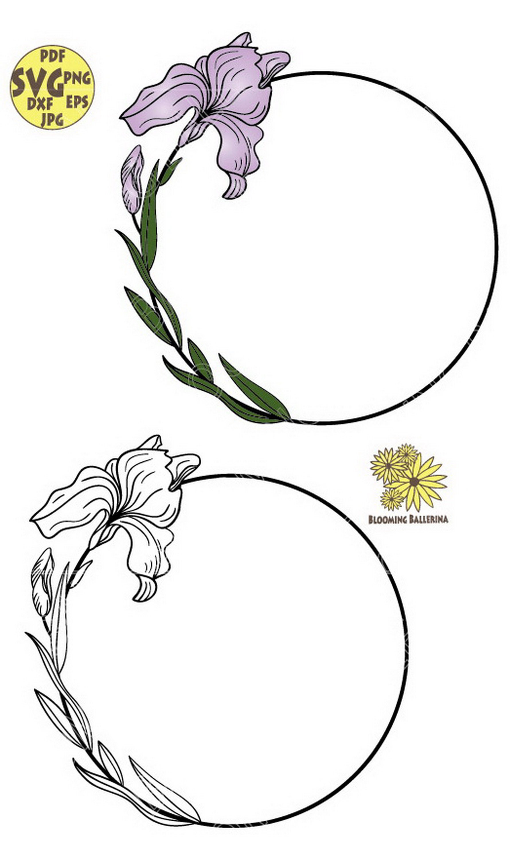 Iris Round Frame Svg File Iris Svg Iris Flower Svg February - Etsy