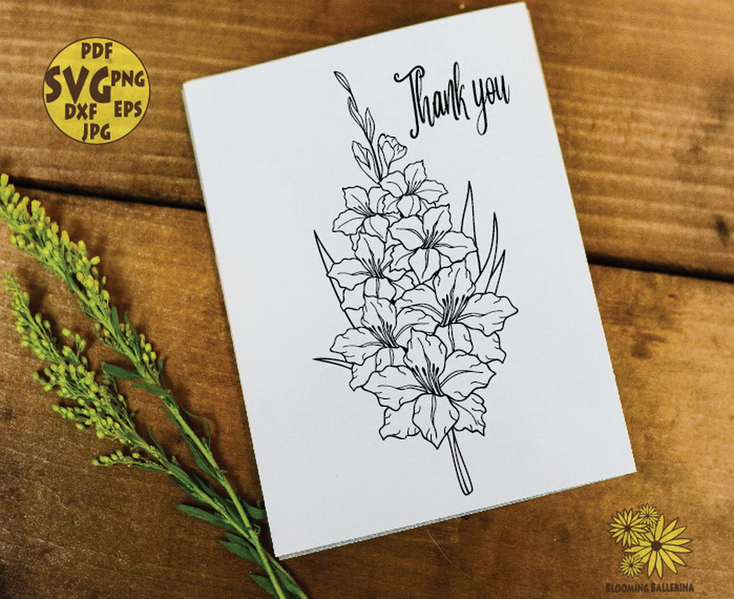 Gladiolus Svg Gladiolus Cut File Gladiolus August Birth - Etsy