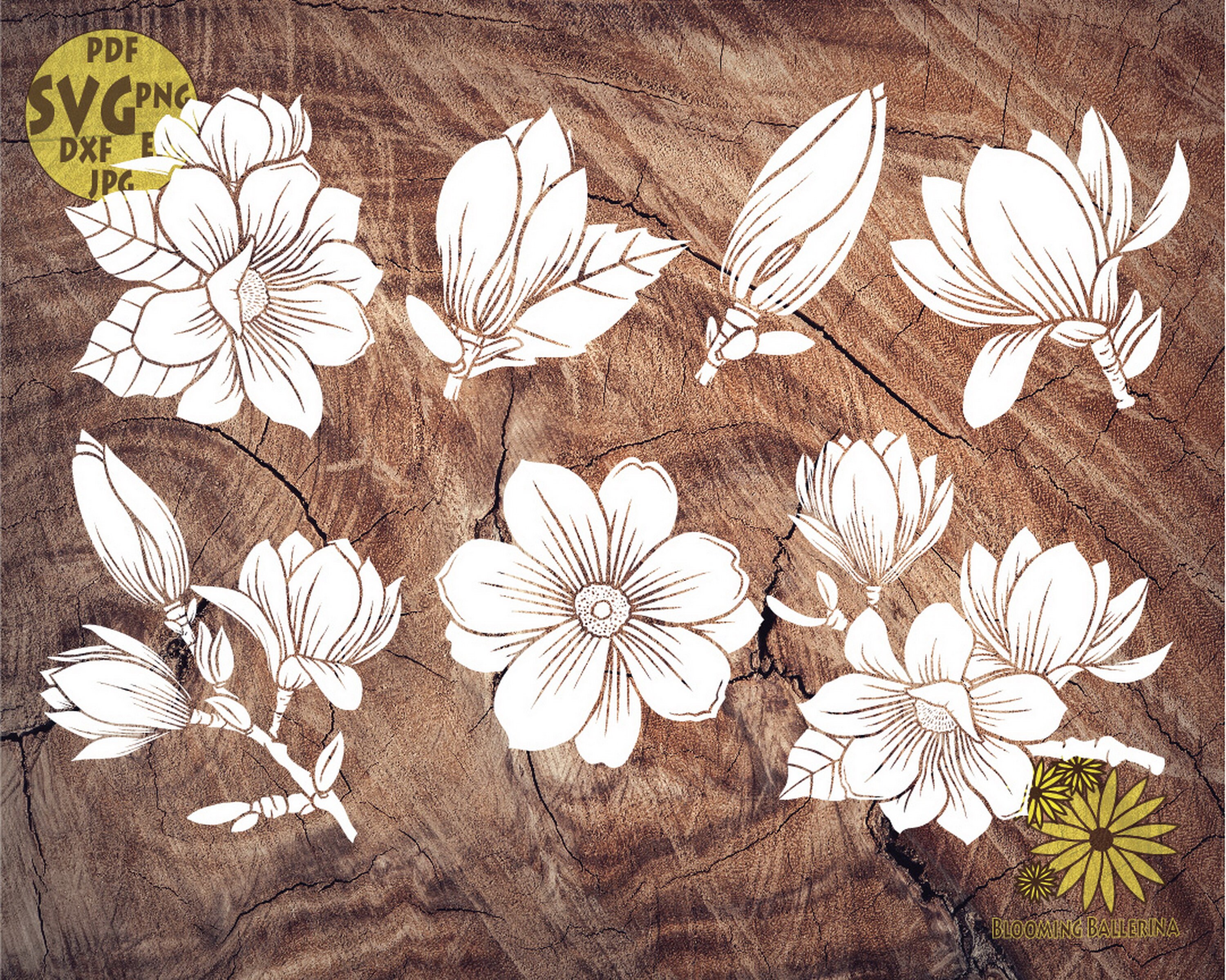 Magnolia Branches Svg Magnolia Svg Floral Svg Magnolia | Etsy