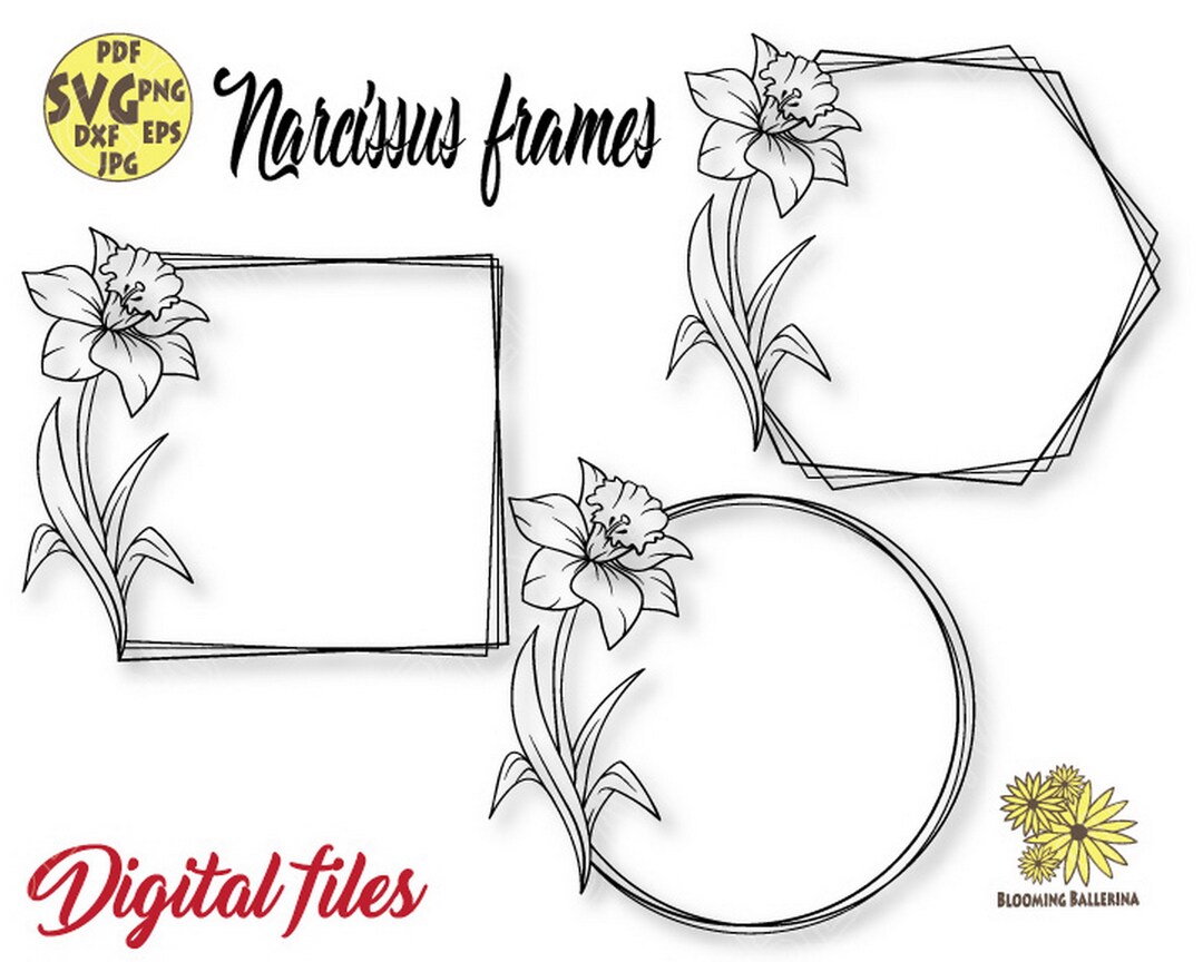 Bundle Narcissus Monogram Frame Svg File, Daffodil Frame, Narcissus ...