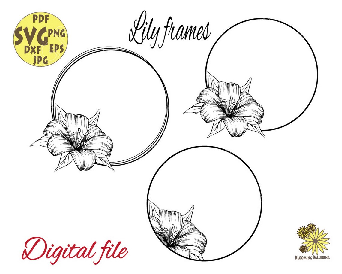Lily Frames Svg 3 Hand Drawn Lily Frames Svg Round Lilies - Etsy