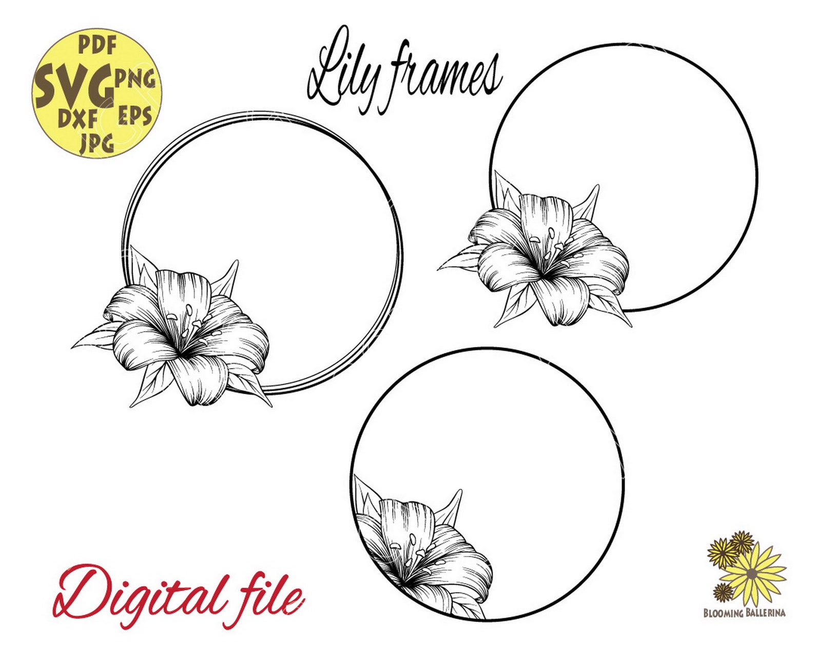 Lily Frames Svg 3 Hand Drawn Lily Frames Svg Round Lilies | Etsy