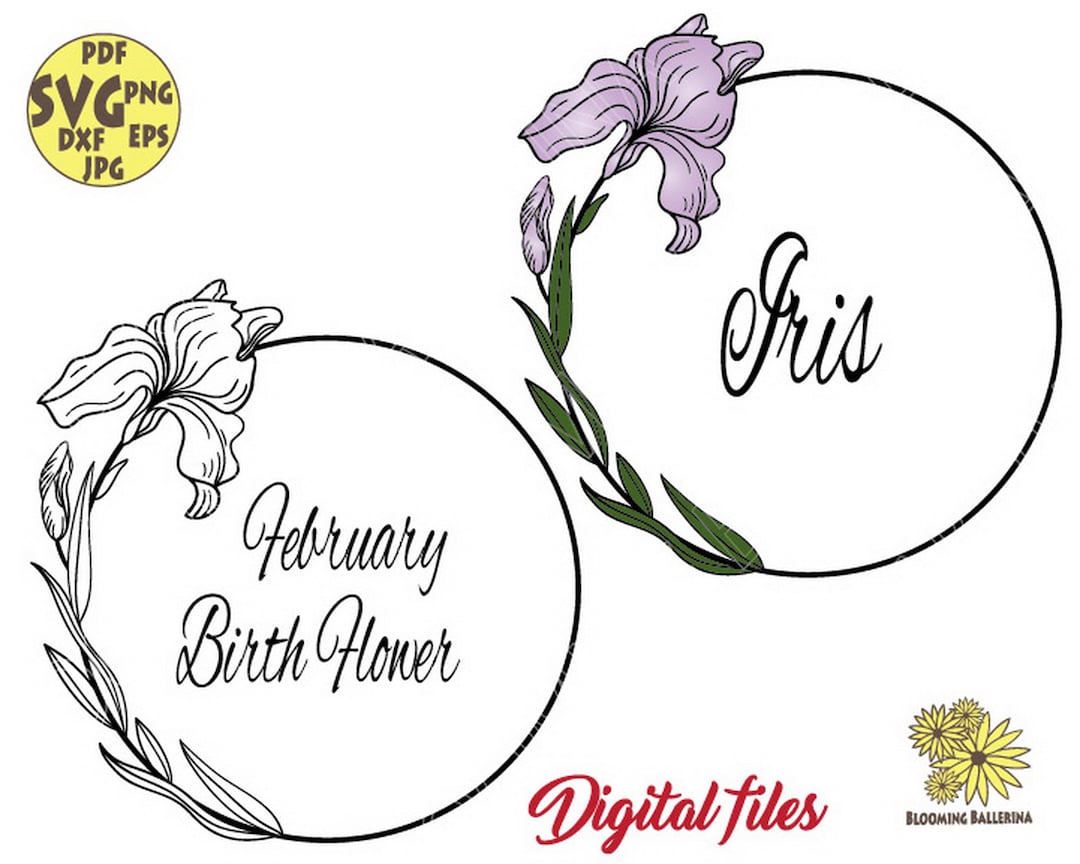 Iris Round Frame Svg File, Iris Svg, Iris Flower Svg February Birth ...
