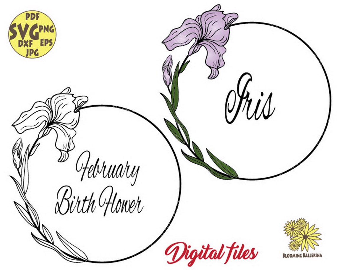 Iris Round Frame Svg File Iris Svg Iris Flower Svg February - Etsy