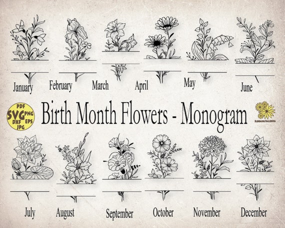 Monogram Birth Month Flowers Svg Birth Month Flower Birth - Etsy Canada
