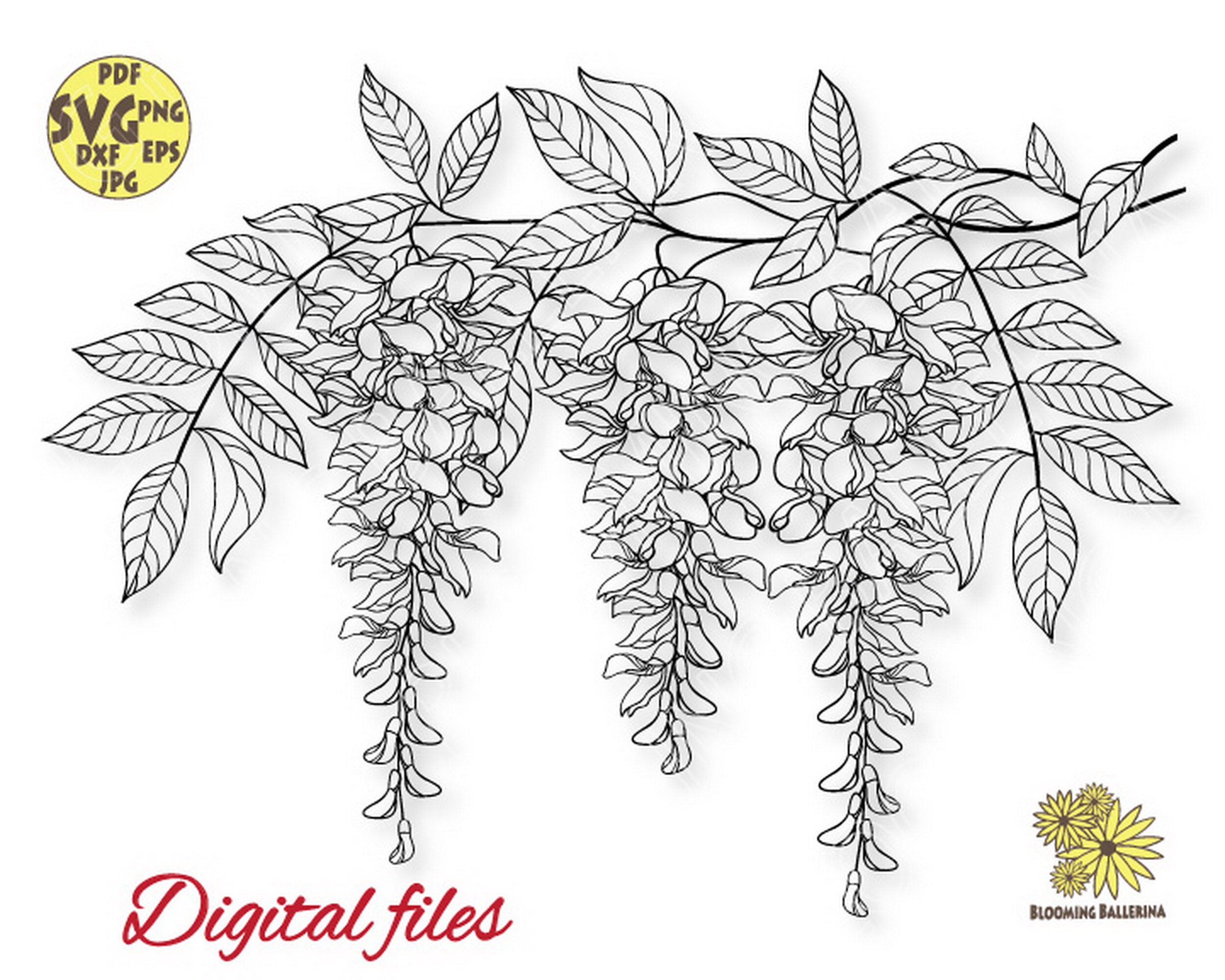 Wisteria Svg, Wisteria Flowers, Wisteria Flower Svg, Wisteria Digital ...