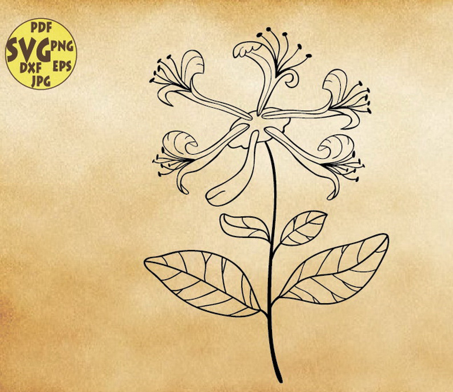 Honeysuckle Flower Svg File June Birth Flower Svg - Etsy