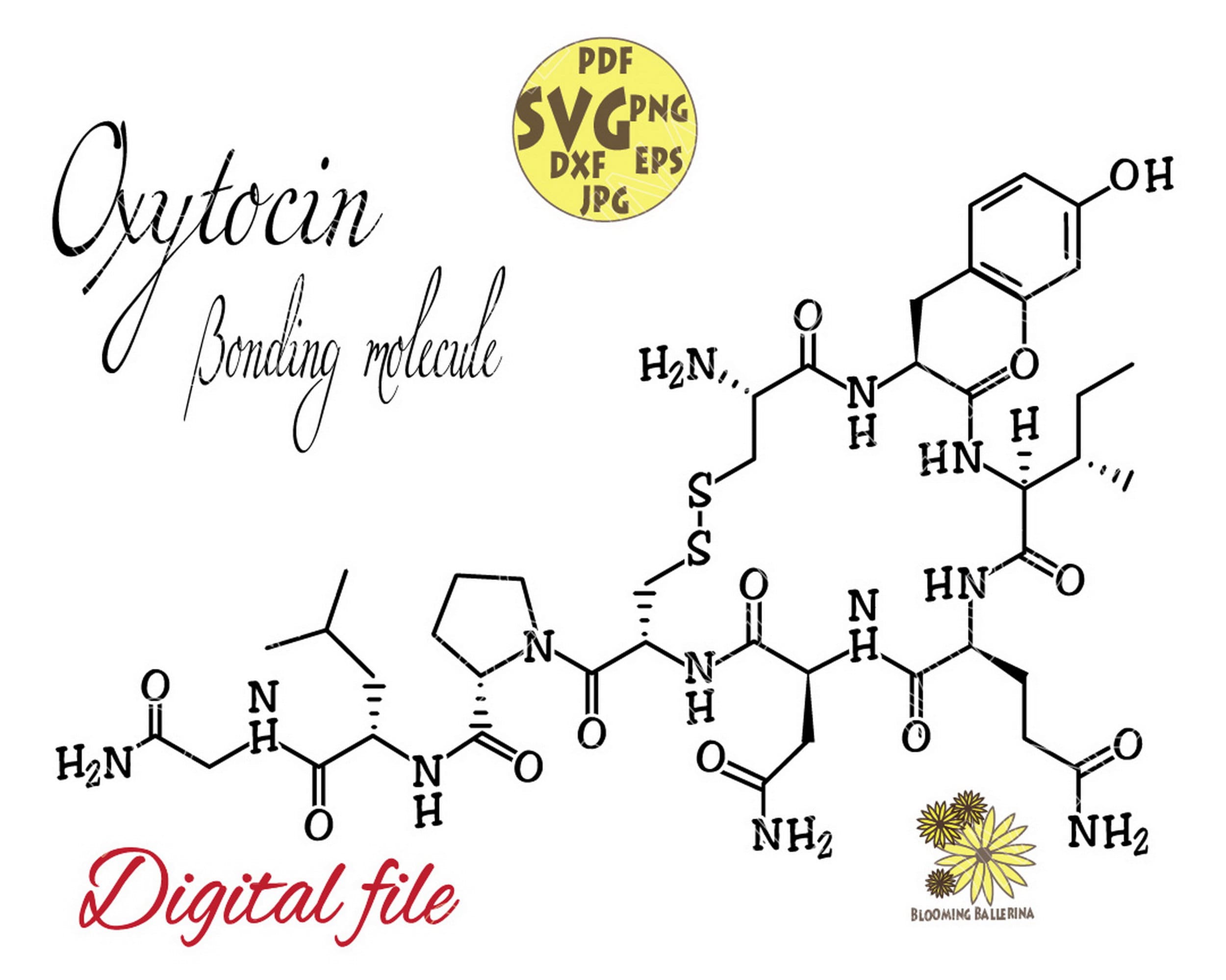 Oxytocin Molecular Stucture Svg File Oxytocin Svg Molecule - Etsy