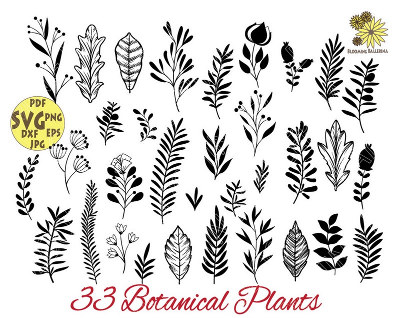 33 Botanical Plants Svg Leaves Svg Branch Svg Leaf Svg - Etsy